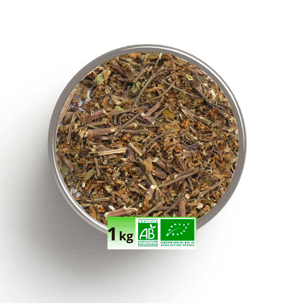 Wholesaler ORTHOSIPHON cut aerial part - Wholesale - Thés Direct ...