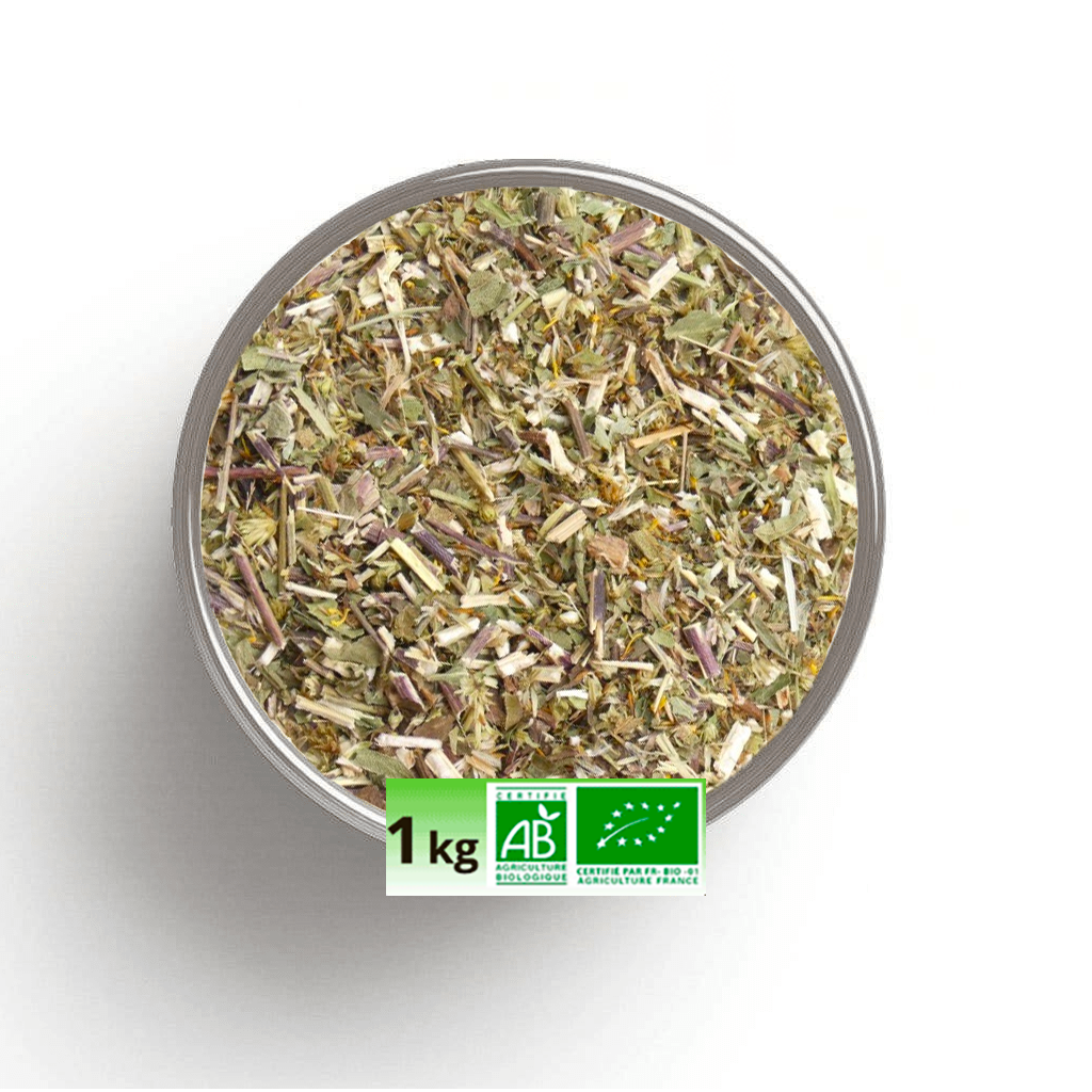 Wholesaler VERGE D'OR cut flowering top - Wholesale - Thés Direct ...