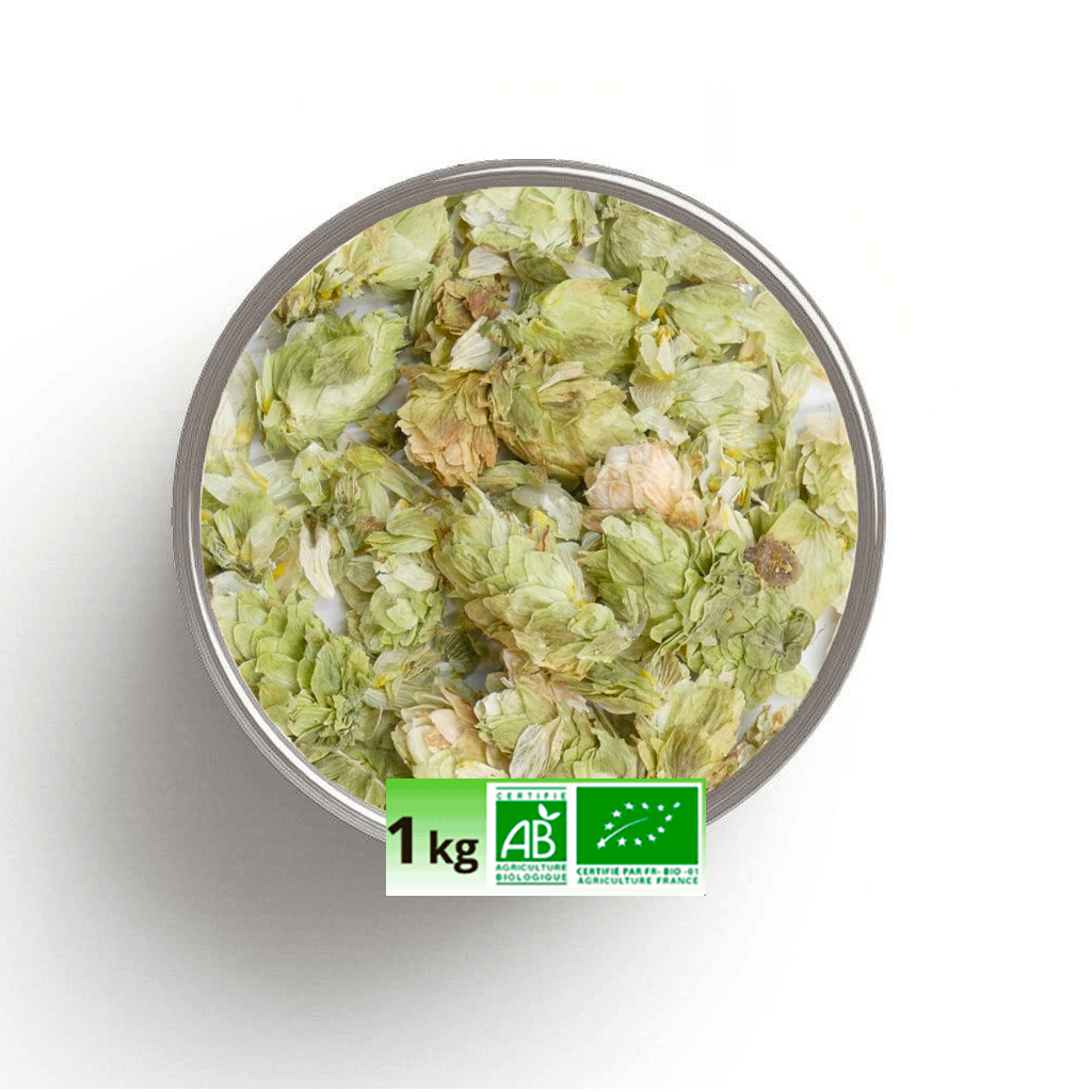 Wholesaler Organic whole cone HOPS - Wholesale - Thés Direct ...