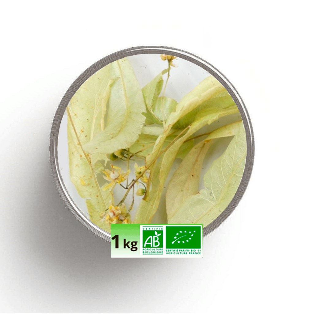 Wholesaler Organic whole bracted LINDEN - Wholesale - Thés Direct ...